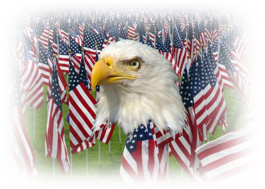 Símbolos Patrios De Los Estados Unidos De América Hispanos En Usa